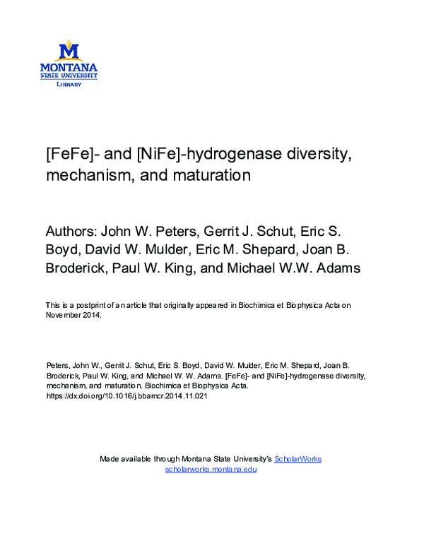 (PDF) [FeFe]- and [NiFe]-hydrogenase diversity, mechanism, and maturation
