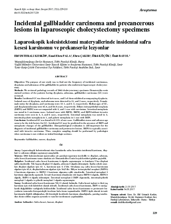 (PDF) Incidental Gallbladder Carcinoma and Precancerous Lesions In ...