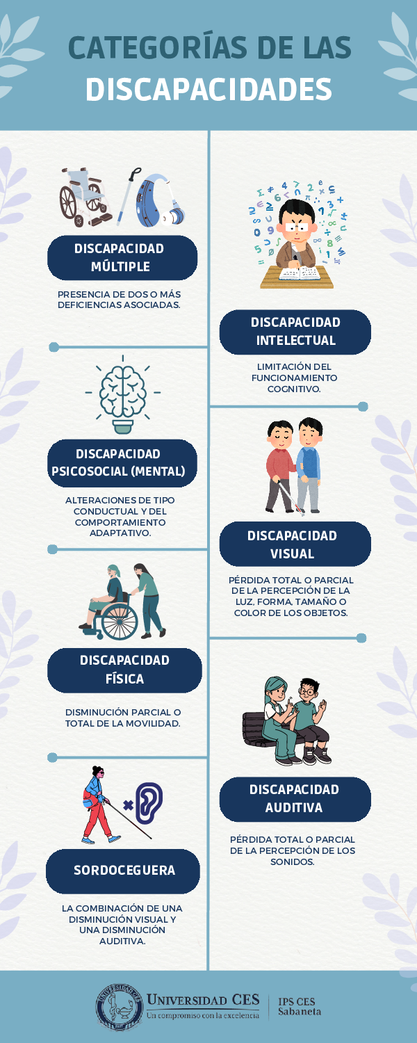 Pdf Categorías De Las Discapacidades Infografía Ces