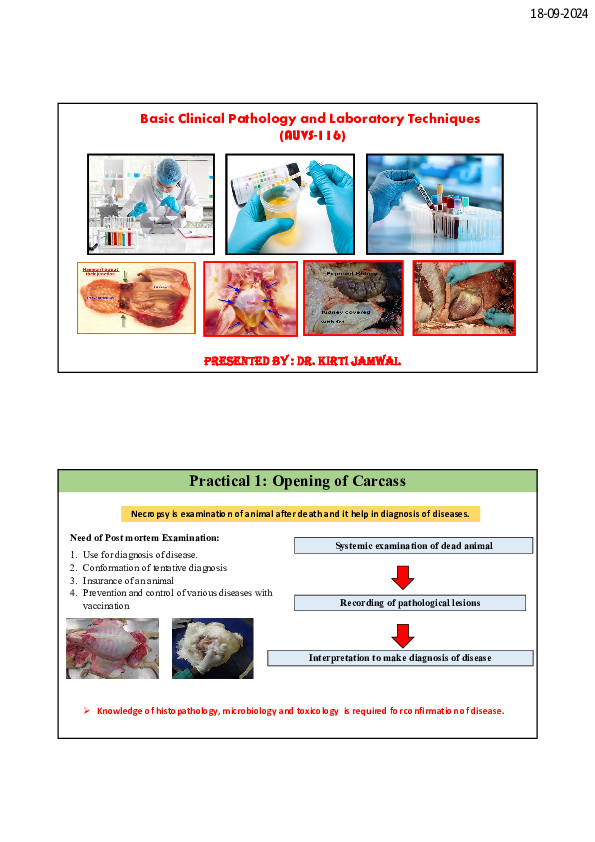 (PDF) Opening of carcass / postmortem examination