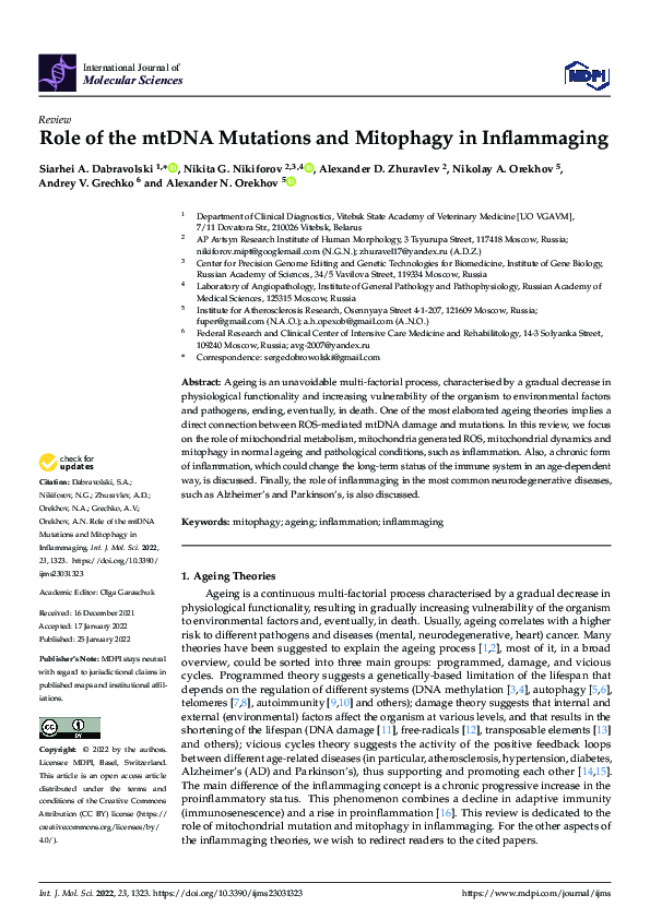 (PDF) Role of the mtDNA Mutations and Mitophagy in Inflammaging