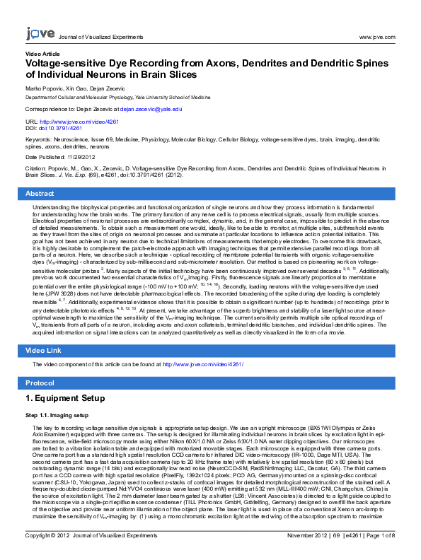 (PDF) Voltage-sensitive dye recording from axons, dendrites and ...
