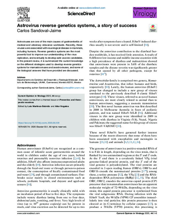 (PDF) Astrovirus reverse genetics systems, a story of success