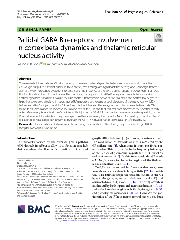 (PDF) Pallidal GABA B receptors: involvement in cortex beta dynamics ...