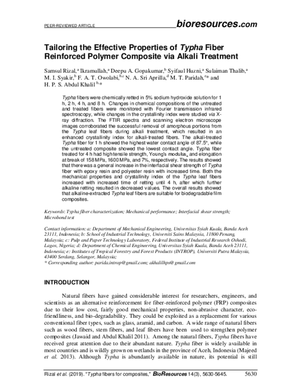 (PDF) Tailoring the Effective Properties of Typha Fiber Reinforced ...
