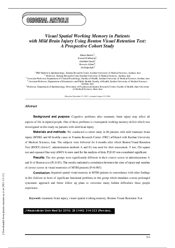 (PDF) Visual Spatial Working Memory in Patients with Mild Brain Injury ...