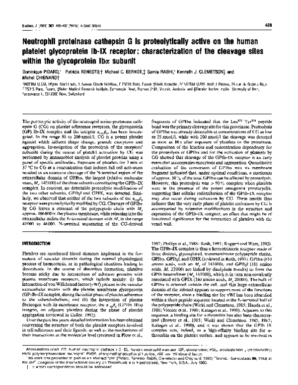 (PDF) Neutrophil proteinase cathepsin G is proteolytically active on ...