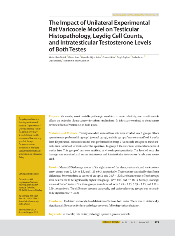 (PDF) S1 the Impact of Unilateral Experimental Rat Varicocele Model on ...