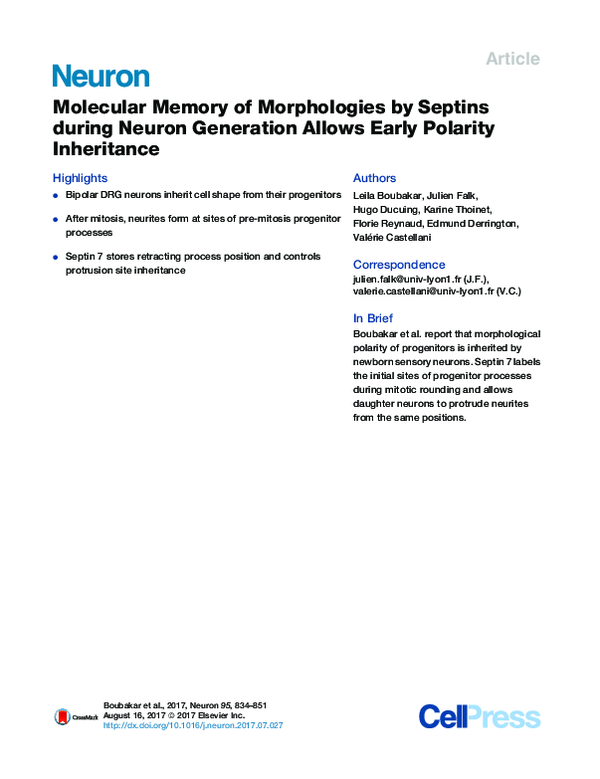 (PDF) Molecular Memory of Morphologies by Septins during Neuron ...