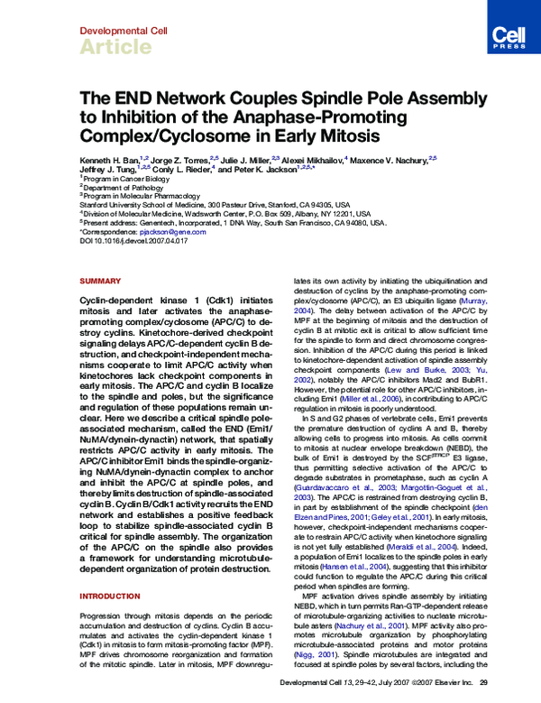 (PDF) The END Network Couples Spindle Pole Assembly to Inhibition of ...