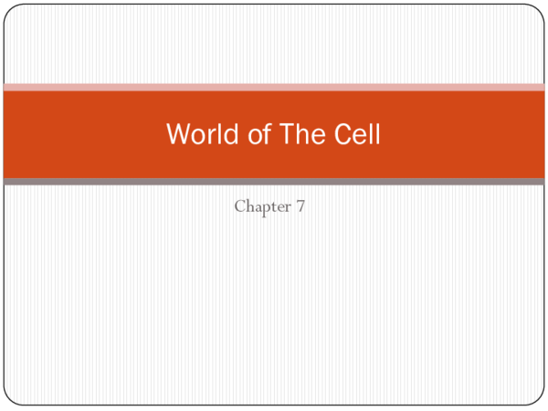 (PDF) The World of the Cell