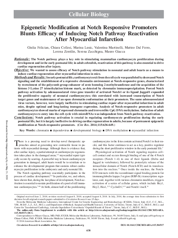 (PDF) Epigenetic Modification at Notch Responsive Promoters Blunts ...