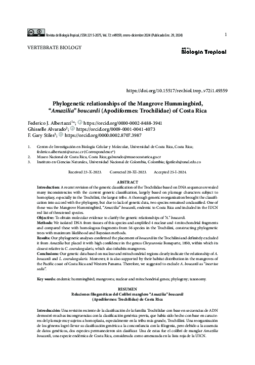 (PDF) Phylogenetic relationships of the Mangrove Hummingbird, “Amazilia ...