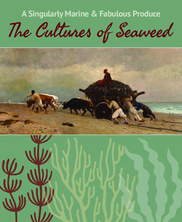 (PDF) Wrack Line Design: Seaweed in Visual Culture and Amateur Science ...