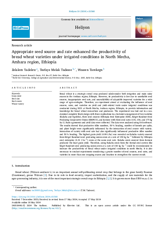 Pdf Appropriate Seed Source And Rate Enhanced The Productivity Of Bread Wheat Varieties Under