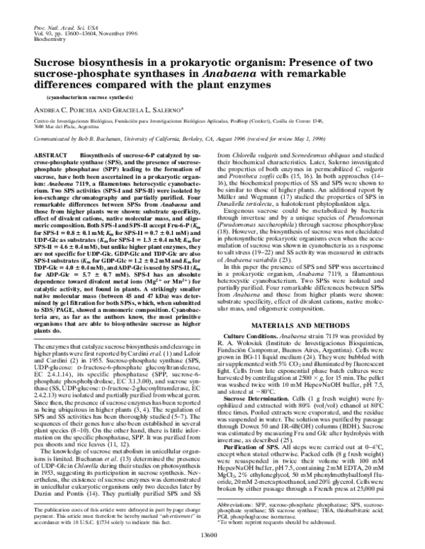 (PDF) Sucrose biosynthesis in a prokaryotic organism: Presence of two ...