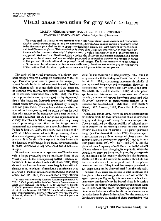(PDF) Visual phase resolution for gray-scale textures