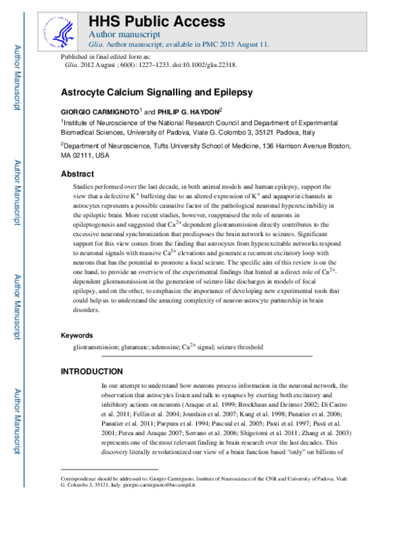(PDF) Astrocyte calcium signaling and epilepsy