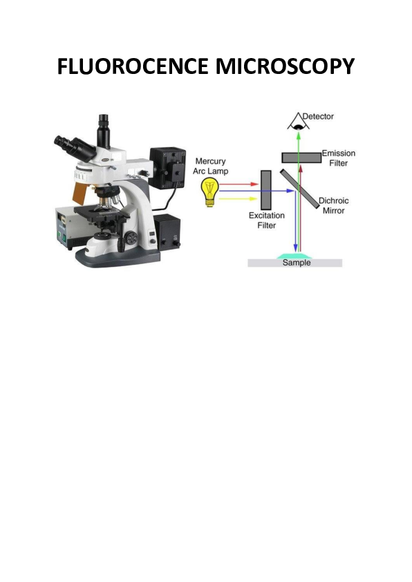 (PDF) Fluorescence microscopy