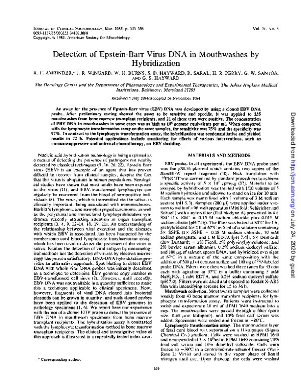 (PDF) Detection of Epstein-Barr virus DNA in mouthwashes by hybridization