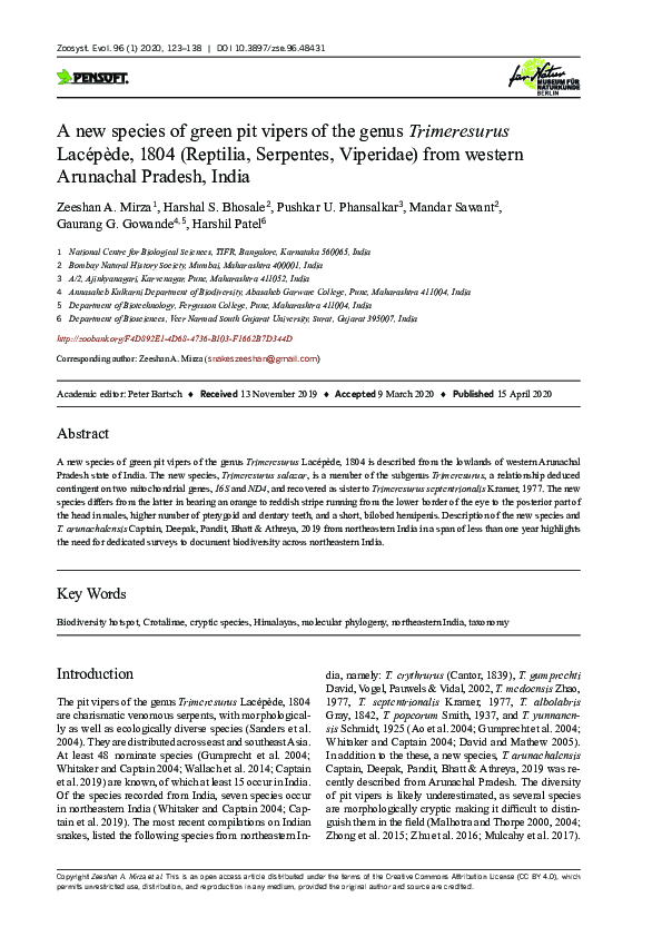 (PDF) A new species of green pit vipers of the genus Trimeresurus ...