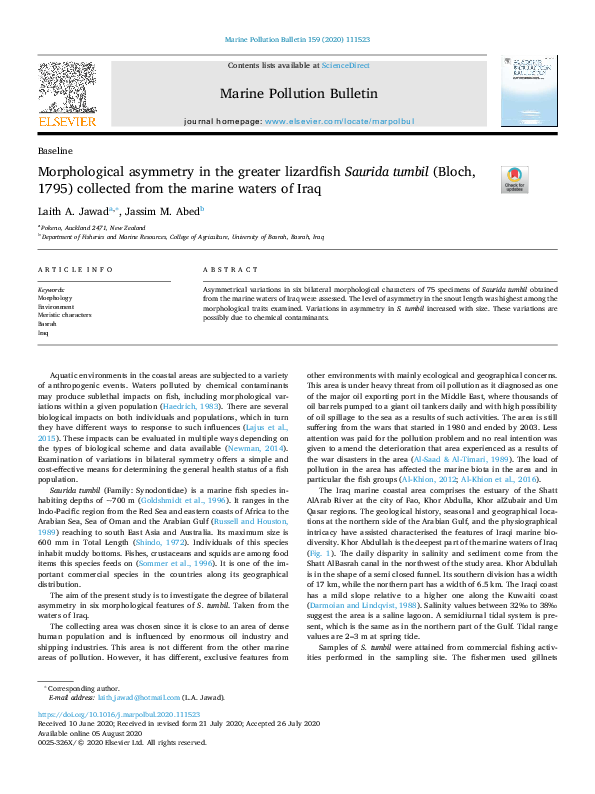 (PDF) Morphological asymmetry in the greater lizardfish Saurida tumbil ...
