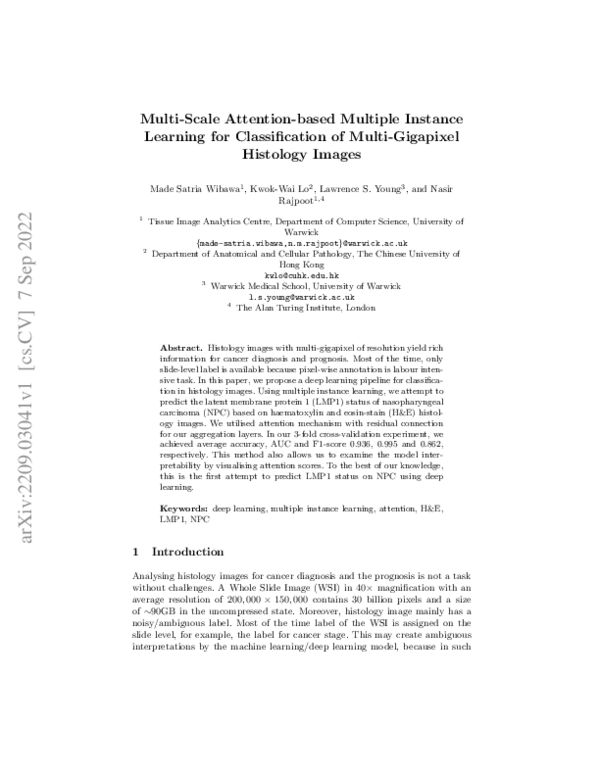 Pdf Multi Scale Attention Based Multiple Instance Learning For Classification Of Multi