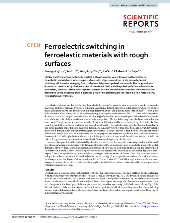 (PDF) Ferroelectric switching in ferroelastic materials with rough surfaces
