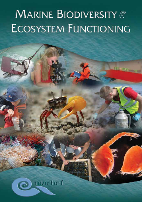 (PDF) Marine Biodiversity and Ecosystem Functioning
