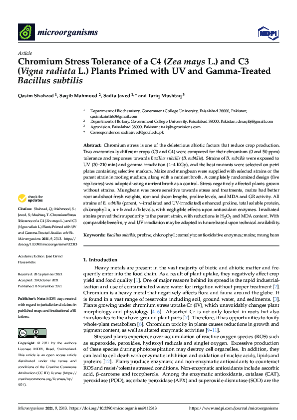 (PDF) Chromium Stress Tolerance of a C4 (Zea mays L.) and C3 (Vigna ...