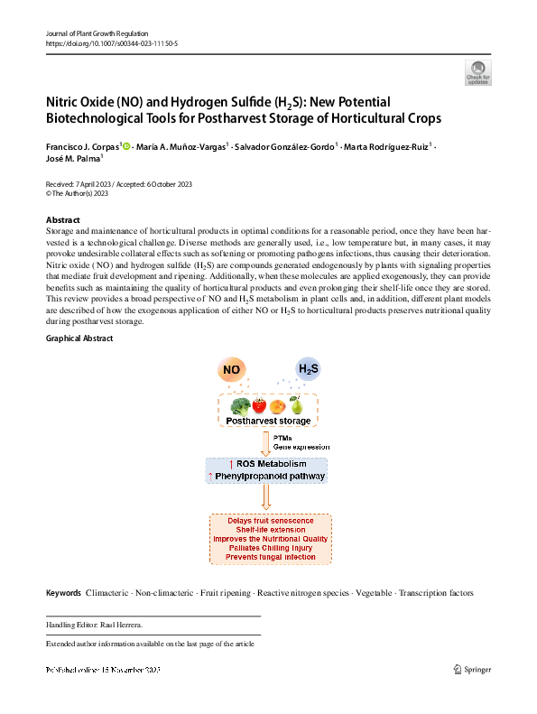 (PDF) Nitric Oxide (NO) and Hydrogen Sulfide (H2S): New Potential ...