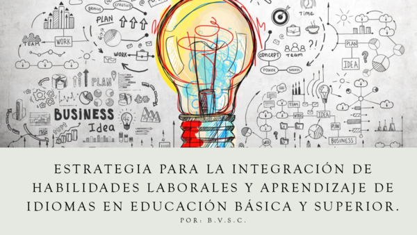 (PDF) Plan estratégico para la empleabilidad BVSC
