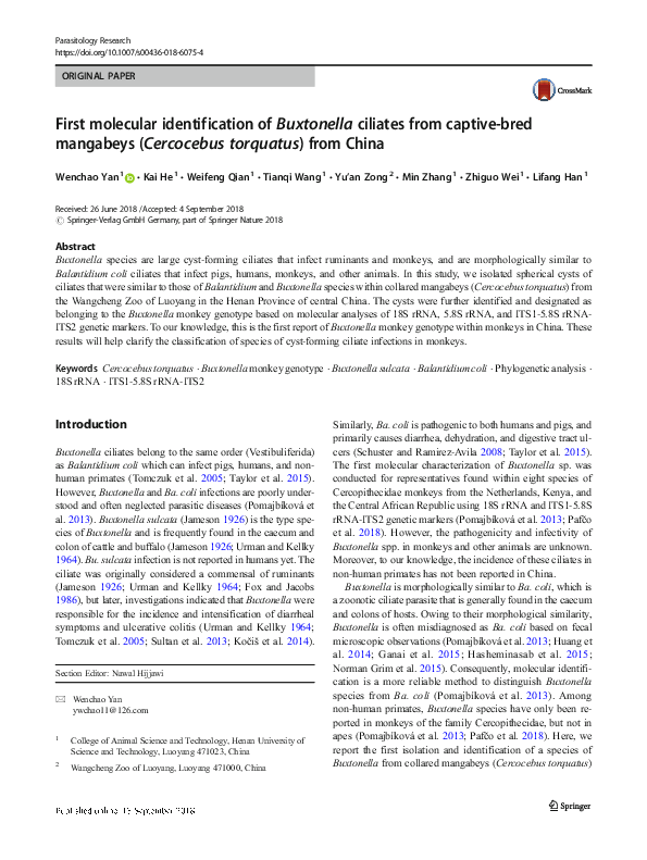 (PDF) First molecular identification of Buxtonella ciliates from ...