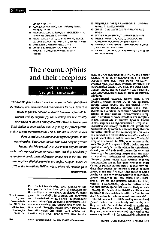 (PDF) The neurotrophins and their receptors