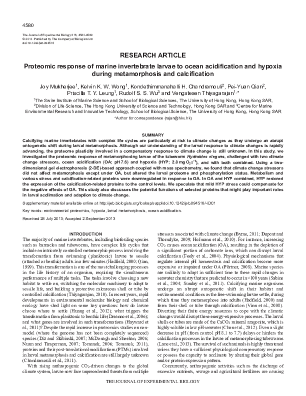 (PDF) Proteomic response of marine invertebrate larvae to ocean ...