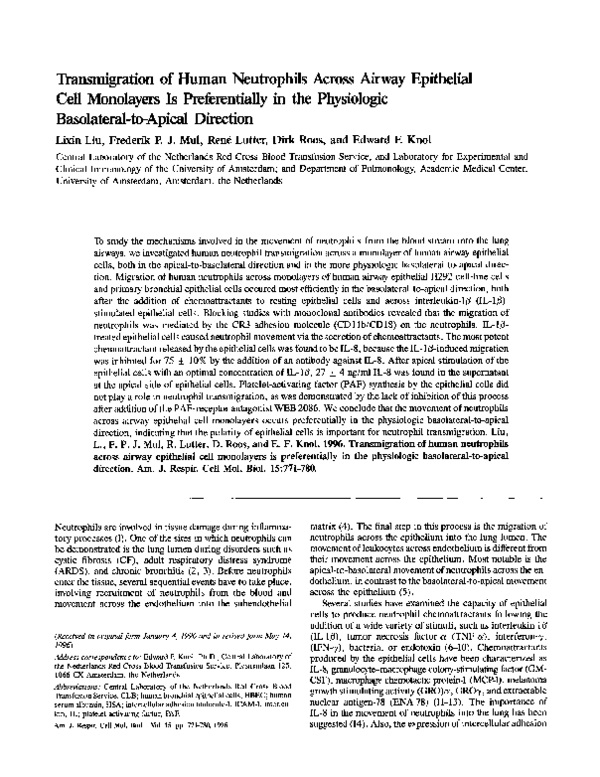 (PDF) Transmigration of human neutrophils across airway epithelial cell ...