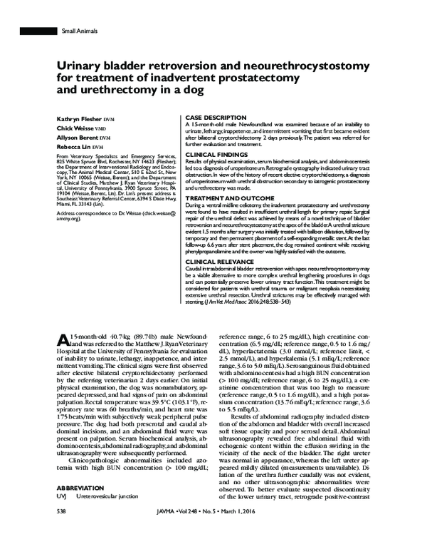 (PDF) Urinary bladder retroversion and neourethrocystostomy for ...