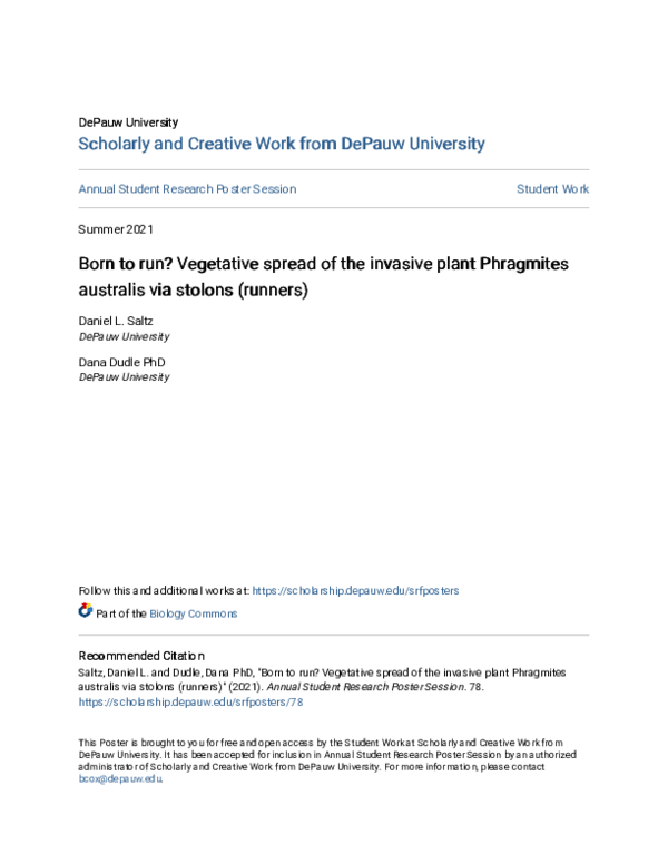 (PDF) Born to run? Vegetative spread of the invasive plant Phragmites ...
