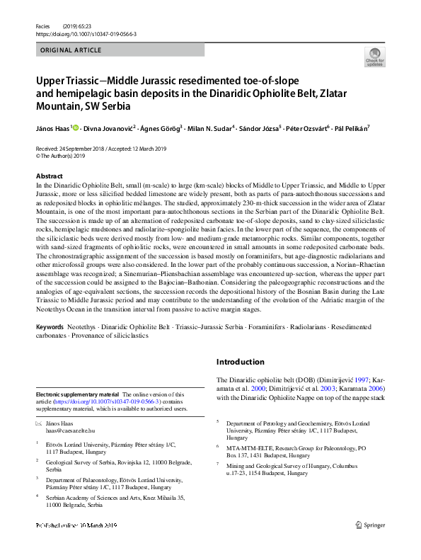 (PDF) Upper Triassic‒Middle Jurassic resedimented toe-of-slope and ...