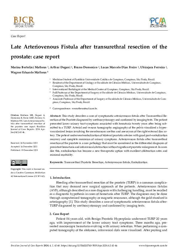 (PDF) Late Arteriovenous Fistula after transurethral resection of the ...