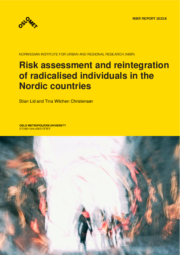 (PDF) Risk assessment and reintegration of radicalised indivdiuals in ...