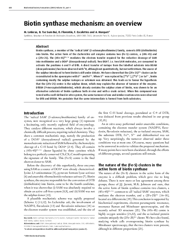 (PDF) Biotin synthase mechanism: an overview