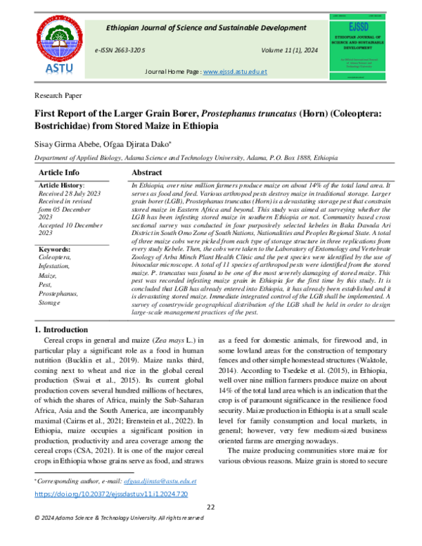 (PDF) First Report of the Larger Grain Borer, Prostephanus truncatus ...