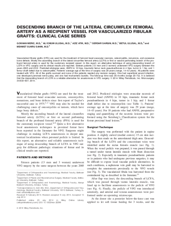 (PDF) Descending branch of the lateral circumflex femoral artery as a ...