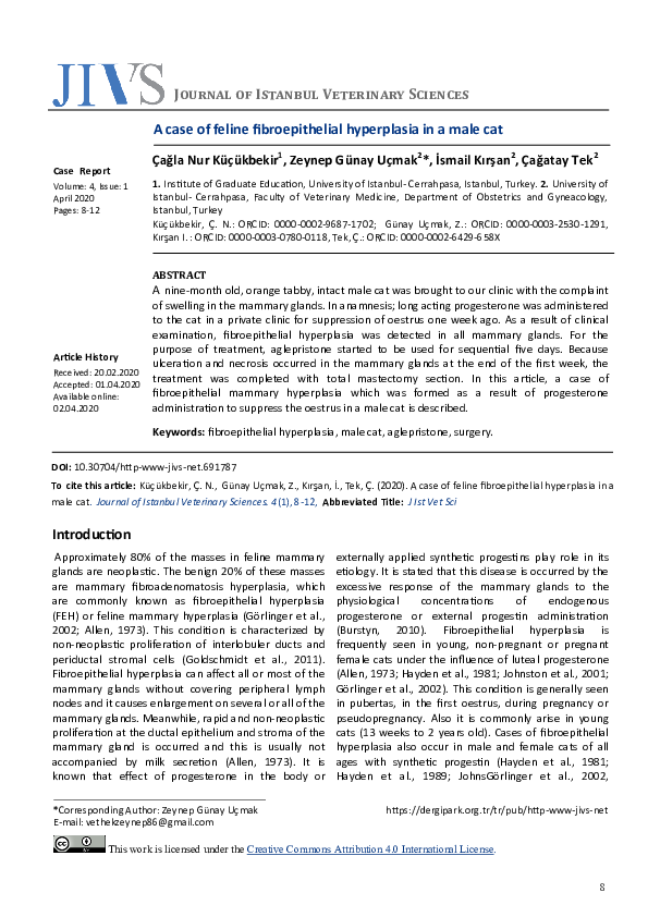 (PDF) A case of feline fibroepithelial hyperplasia in a male cat