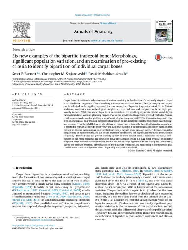 (PDF) Six new examples of the bipartite trapezoid bone: Morphology ...