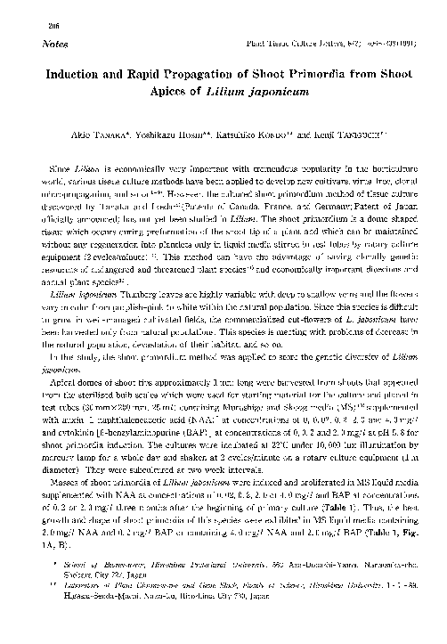 (PDF) Induction and Rapid Propagation of Shoot Primordia of Mentha ...