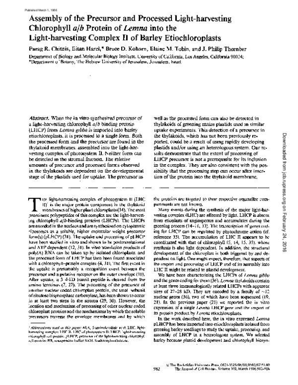 (PDF) Assembly of the precursor and processed light-harvesting ...