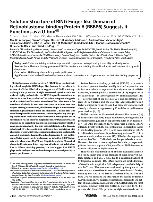 (PDF) Solution Structure of RING Finger-like Domain of Retinoblastoma ...