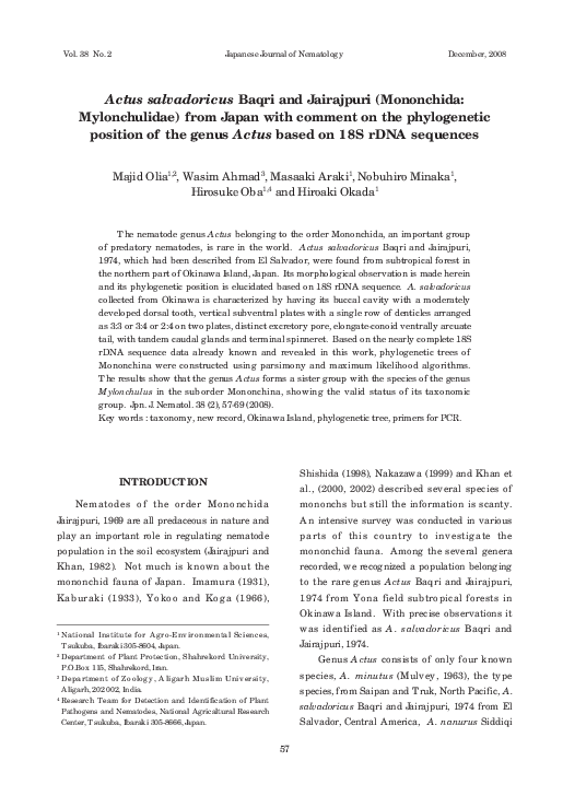 (PDF) Actus salvadoricus Baqri and Jairajpuri (Mononchida ...